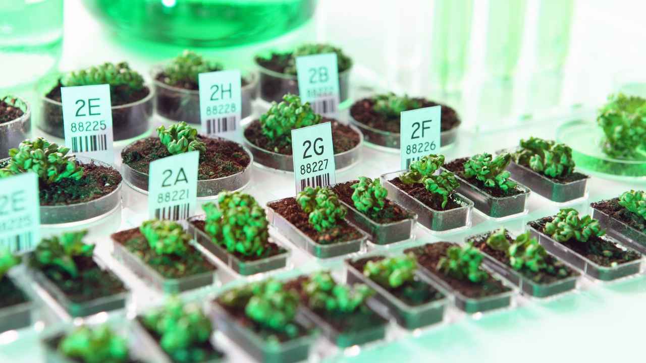 Znanost na cesti: Nove genske tehnologije v kmetijstvu